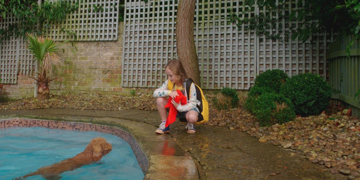 La piscine de M. Willow | Waffle le chien Waouh | TFO