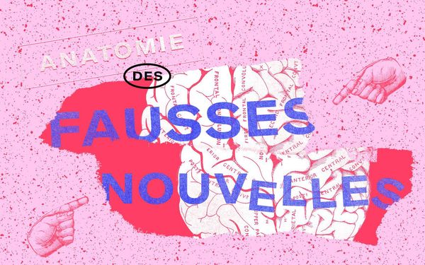 Anatomie des fausses nouvelles | Idéllo