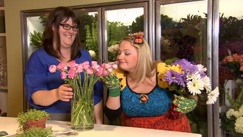 Mini TFO - Les métiers | Idéllo