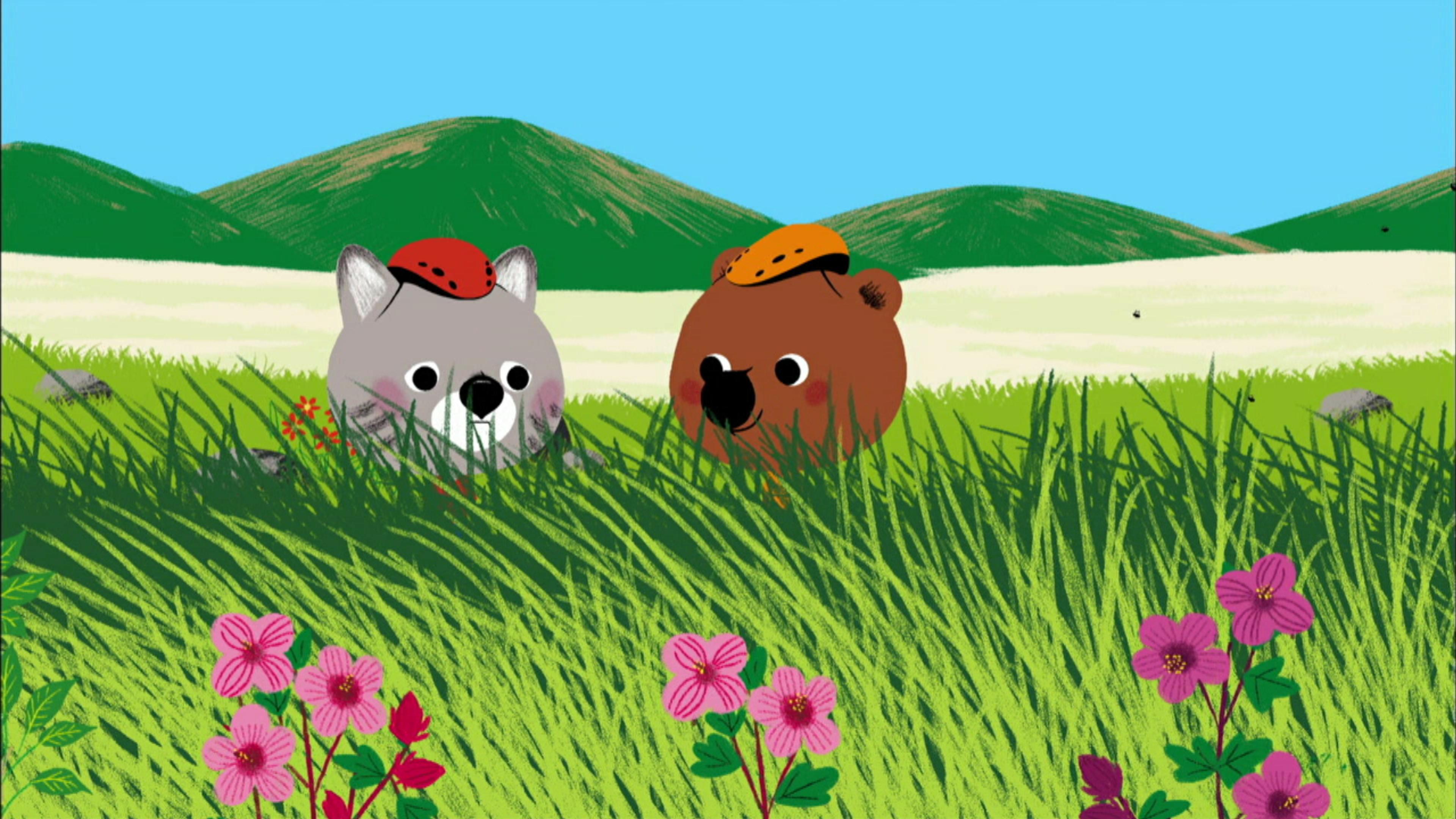 Les cow-boys dans la praire | Mouk | TFO